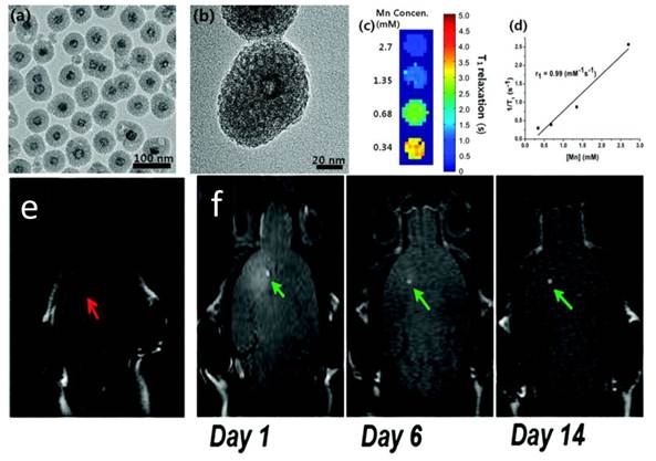 Development of Manganese-Based Nanoparticles as Contrast Probes for ...