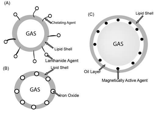 Applications of Magnetic Microbubbles for Theranostics