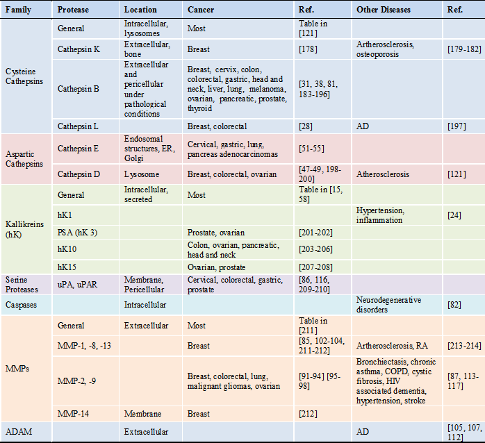 Protease-Activated Drug Development