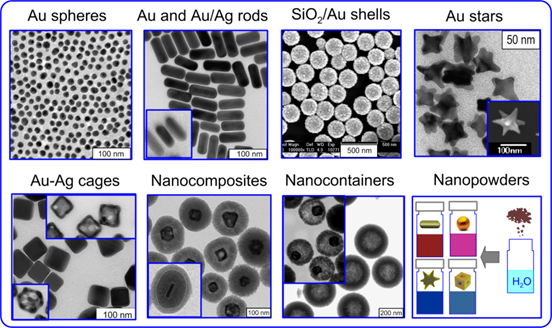 Analytical and Theranostic Applications of Gold Nanoparticles and ...