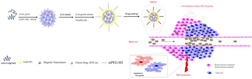 Mesoporous Magnetic Gold “Nanoclusters” as Theranostic Carrier for ...