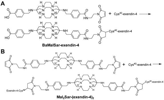 64Cu Labeled Sarcophagine Exendin-4 for MicroPET Imaging of Glucagon ...