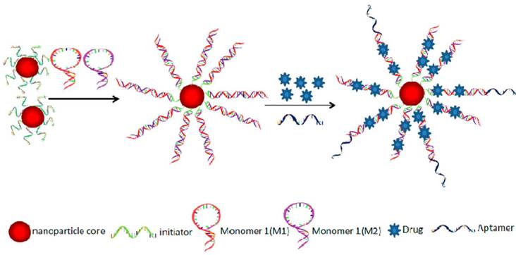 Aptamers: Active Targeting Ligands for Cancer Diagnosis and Therapy