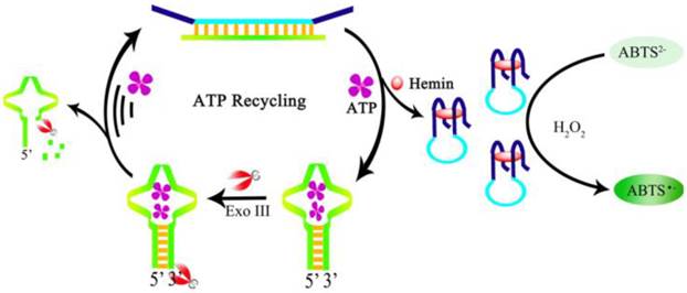 Optical Aptasensors for Adenosine Triphosphate