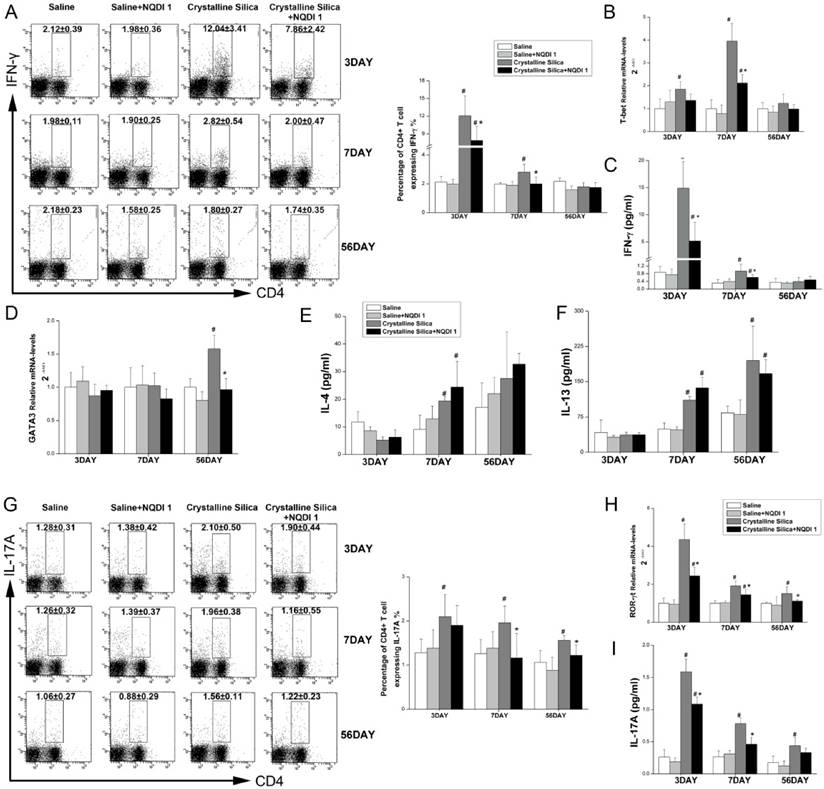 Blocking the 4-1BB Pathway Ameliorates Crystalline Silica-induced Lung ...