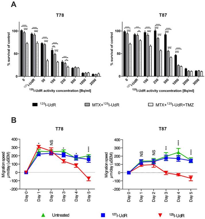 Highly Effective Auger-Electron Therapy in an Orthotopic Glioblastoma ...