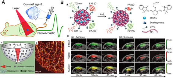 Recent Advances of Light-Mediated Theranostics