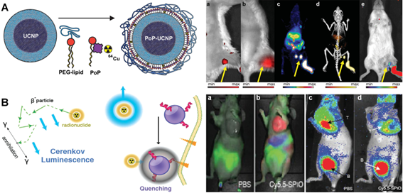 Recent Advances of Light-Mediated Theranostics