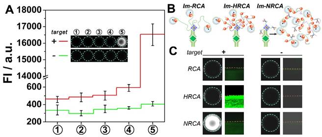 From Interface to Solution: Integrating Immunoassay with Netlike ...