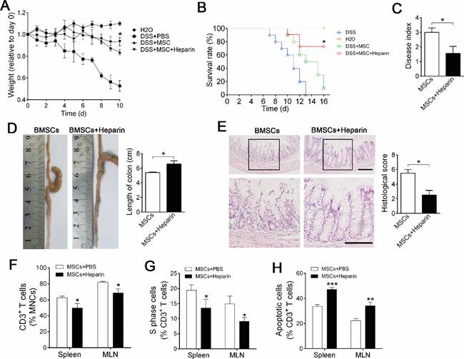 Heparin improves BMSC cell therapy: Anticoagulant treatment by heparin ...