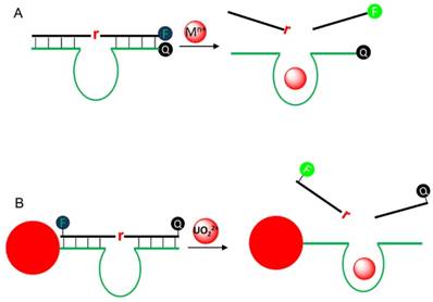 Theranostic DNAzymes