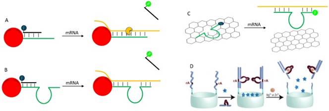 Theranostic DNAzymes