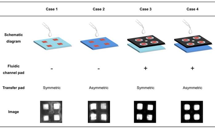 A Paper-Based Device for Performing Loop-Mediated Isothermal ...