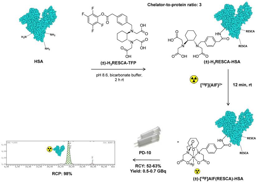 Al18F-Labeling Of Heat-Sensitive Biomolecules for Positron Emission ...