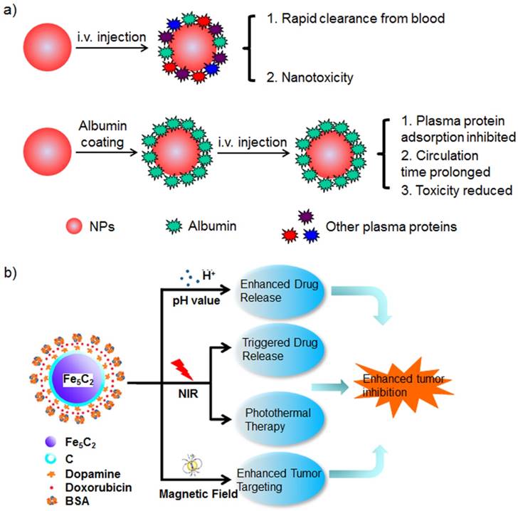Strategies for Preparing Albumin-based Nanoparticles for ...