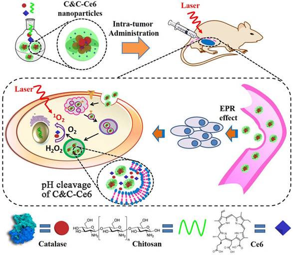 pH-Responsive Aerobic Nanoparticles for Effective Photodynamic Therapy