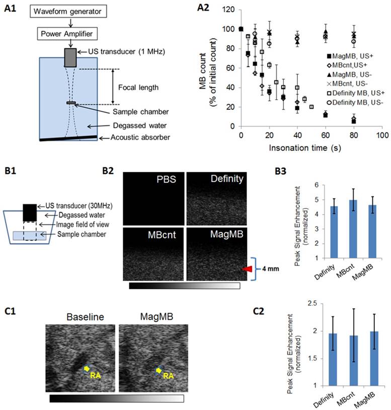 Circulating Magnetic Microbubbles for Localized Real-Time Control of ...