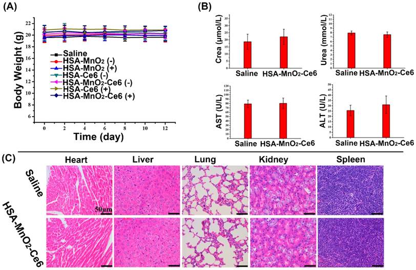 O2-generating MnO2 nanoparticles for enhanced photodynamic therapy of ...