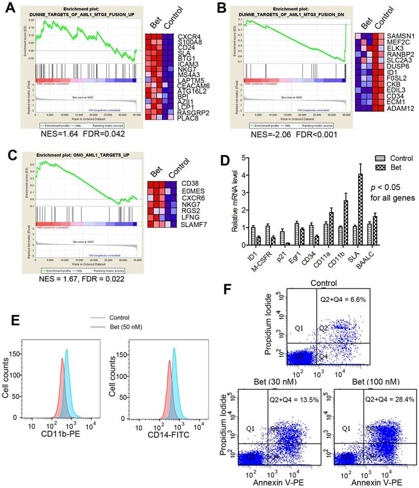 Glucocorticoids Inhibit Oncogenic RUNX1-ETO in Acute Myeloid Leukemia ...