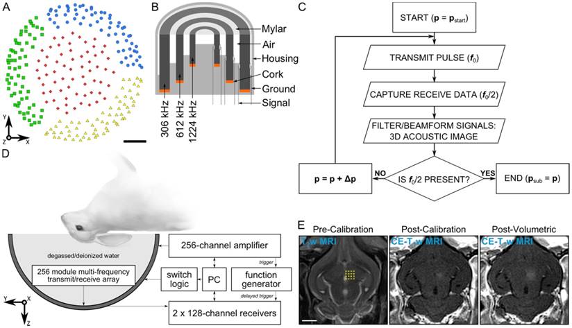 Three-dimensional transcranial microbubble imaging for guiding ...