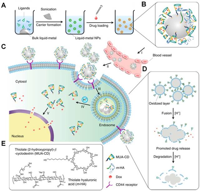 Endogenous pH-responsive nanoparticles with programmable size changes ...