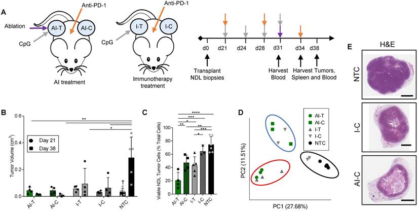 Distinct immune signatures in directly treated and distant tumors ...