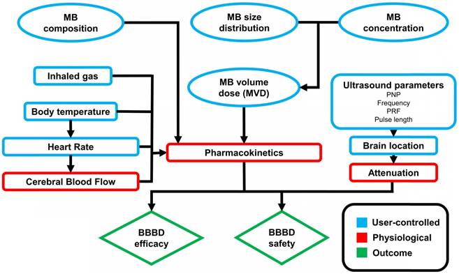 State-of-the-art of microbubble-assisted blood-brain barrier disruption