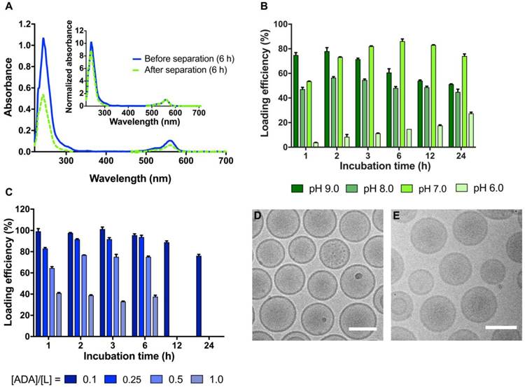 Remote loading of liposomes with a 124I-radioiodinated compound and ...