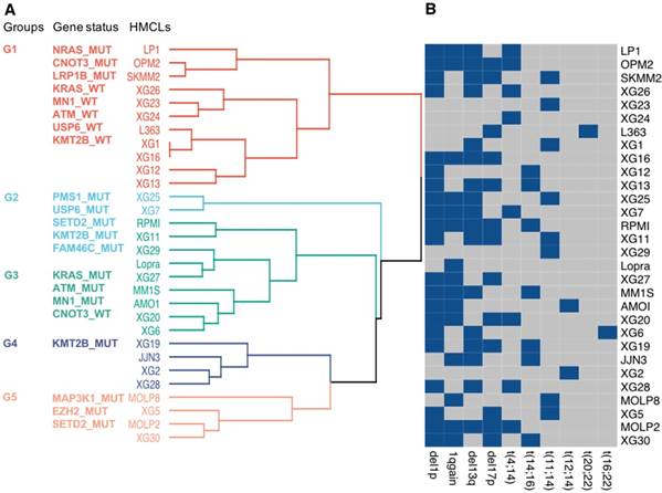 Comprehensive characterization of the mutational landscape in multiple ...