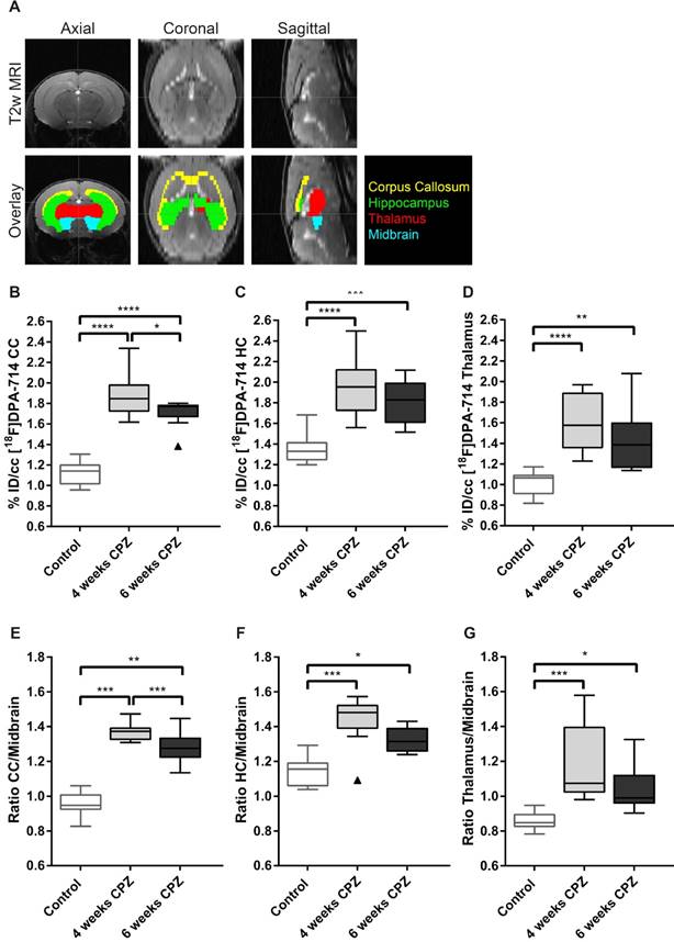 Molecular Imaging of Immune Cell Dynamics During De- and Remyelination ...