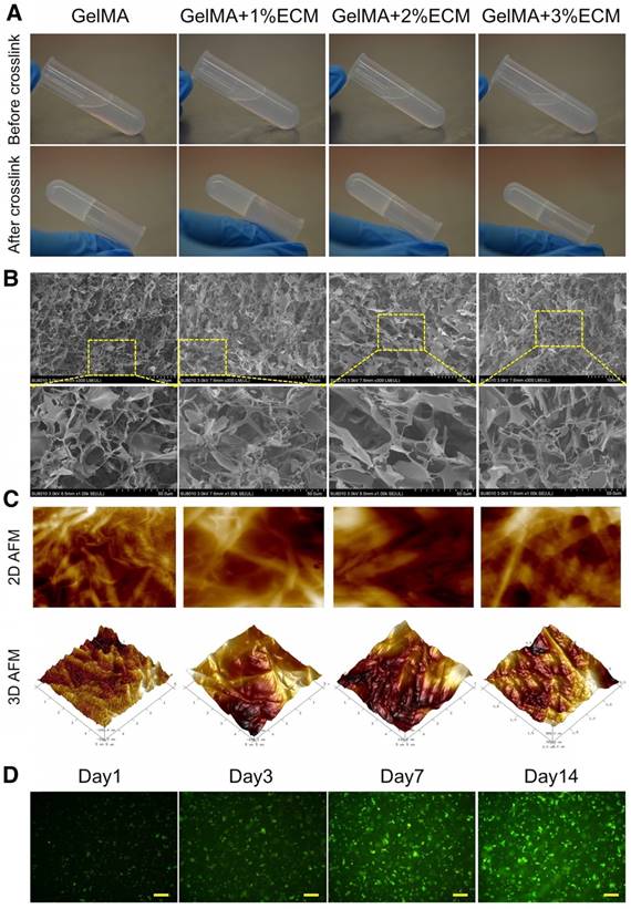 Desktop-stereolithography 3D printing of a radially oriented ...