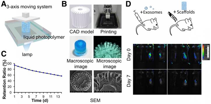 Desktop-stereolithography 3D printing of a radially oriented ...
