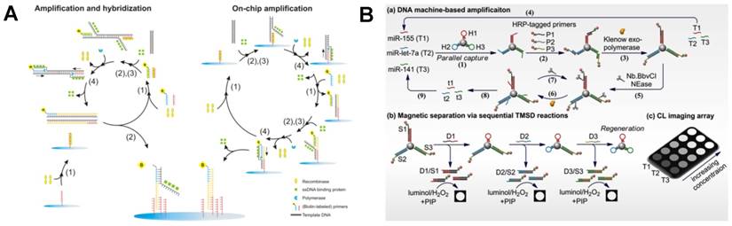 Chemiluminescence and Bioluminescence Imaging for Biosensing and ...
