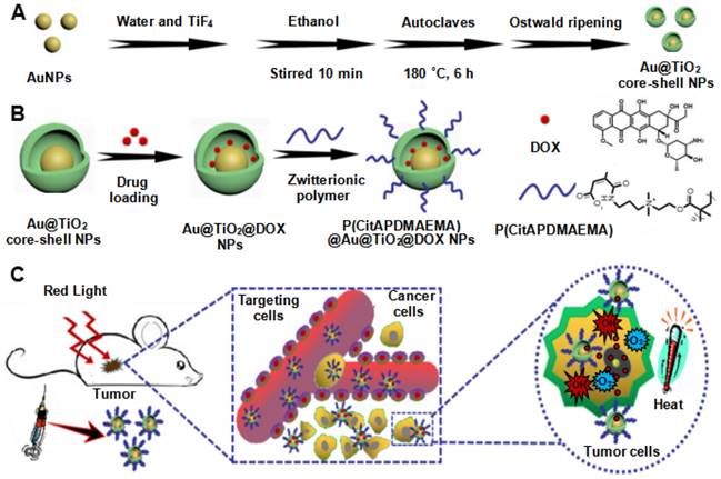 Zwitterionic Polymer-Gated Au@TiO2 Core-Shell Nanoparticles for Imaging ...