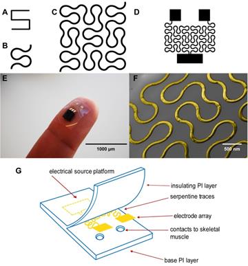 Flexible Multielectrode Array for Skeletal Muscle Conditioning ...
