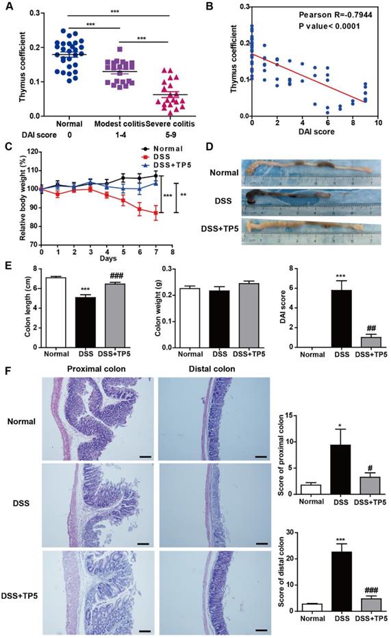 Thymopentin ameliorates dextran sulfate sodium-induced colitis by ...