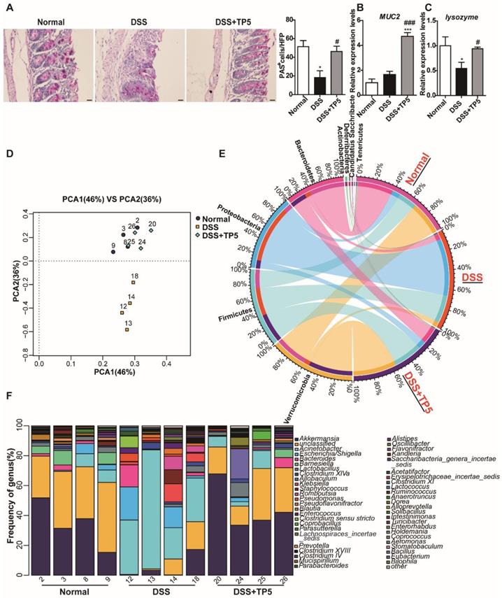 Thymopentin ameliorates dextran sulfate sodium-induced colitis by ...