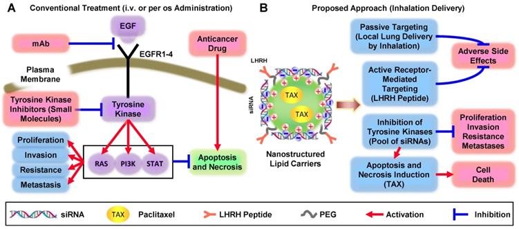 Strategy to enhance lung cancer treatment by five essential elements ...