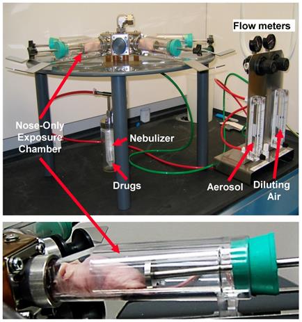 Strategy to enhance lung cancer treatment by five essential elements ...