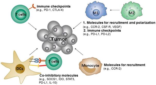 RNA Nanotechnology-Mediated Cancer Immunotherapy