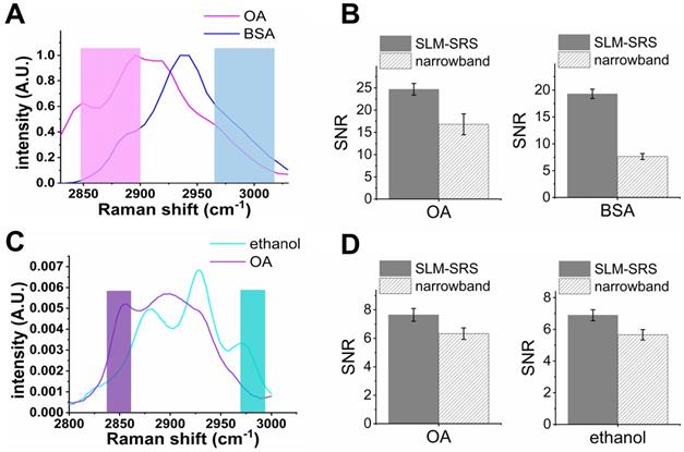 Spatial light-modulated stimulated Raman scattering (SLM-SRS ...