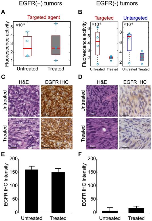 Noninvasive quantification of target availability during therapy using ...