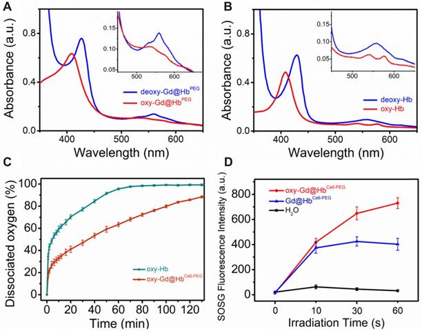Hemoglobin-mediated biomimetic synthesis of paramagnetic O2-evolving ...