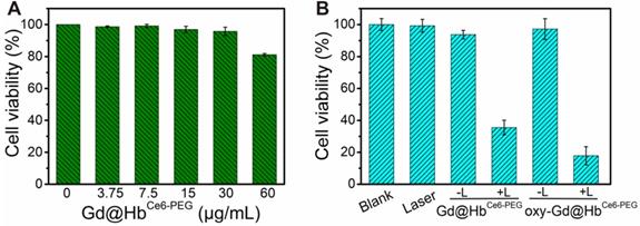 Hemoglobin-mediated biomimetic synthesis of paramagnetic O2-evolving ...