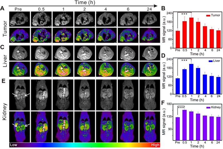 Hemoglobin-mediated biomimetic synthesis of paramagnetic O2-evolving ...