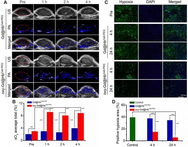Hemoglobin-mediated biomimetic synthesis of paramagnetic O2-evolving ...