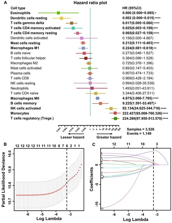 An immune cell infiltration-based immune score model predicts prognosis ...
