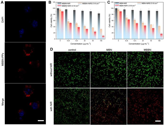 Coordination-induced exfoliation to monolayer Bi-anchored MnB2 ...