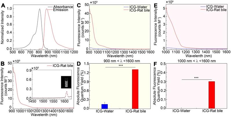 Extrahepatic cholangiography in near-infrared II window with the ...