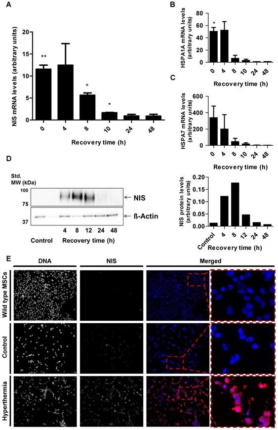 Effective control of tumor growth through spatial and temporal control ...